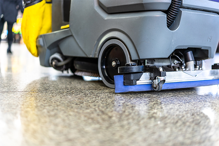 Get Expert Carpets and Hard Floor Cleaning - The Cleanologists